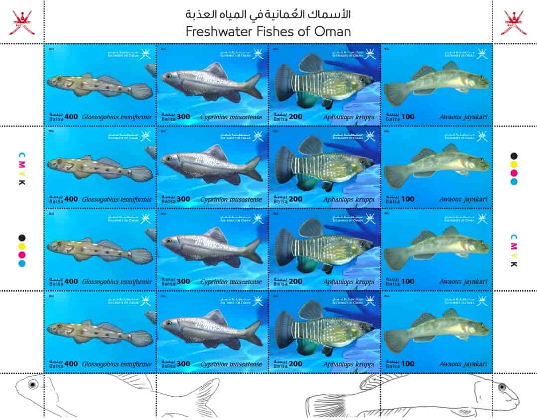 Oman launches stamps on Freshwater Fishes of Oman - Arabian Daily News