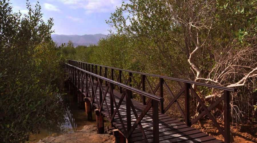 Qurum Natural Reserve, a tourist destination - Arabian Daily News