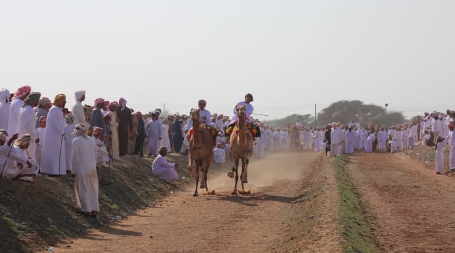 Falaj Al Qabail Horse and Camel Festival Concludes - Arabian Daily News