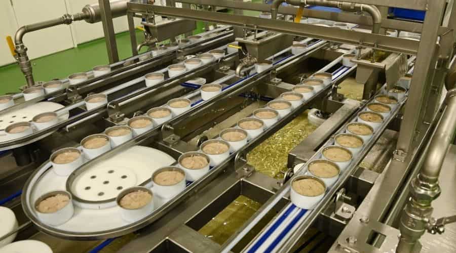 SEZAD Completes First Phase of Fisheries and Food Industries Complex ...