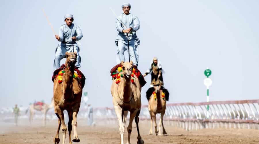 Makhayel of Royal Camel Corps wins HM Camel Cup 2025 - Arabian Daily News